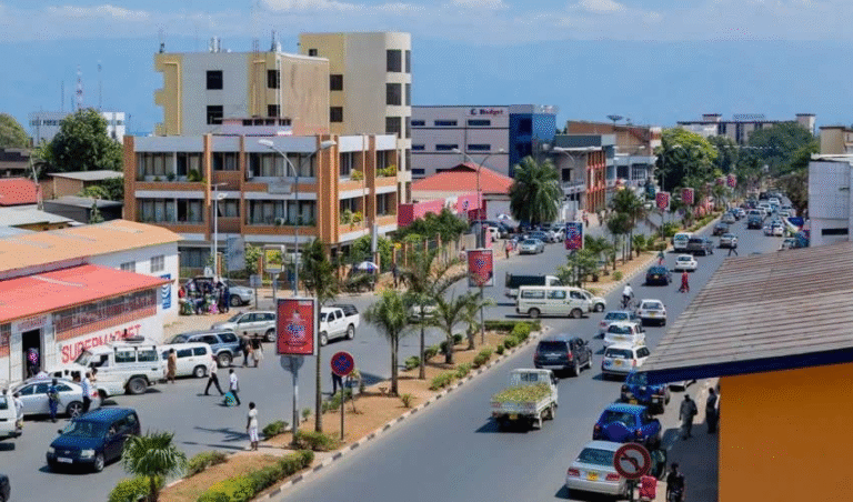 The Ultimate Travel Guide to Burundi: Top Places, Tips & Safety(2025)